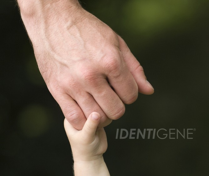 New York Paternity Tests - IDENTIGENE